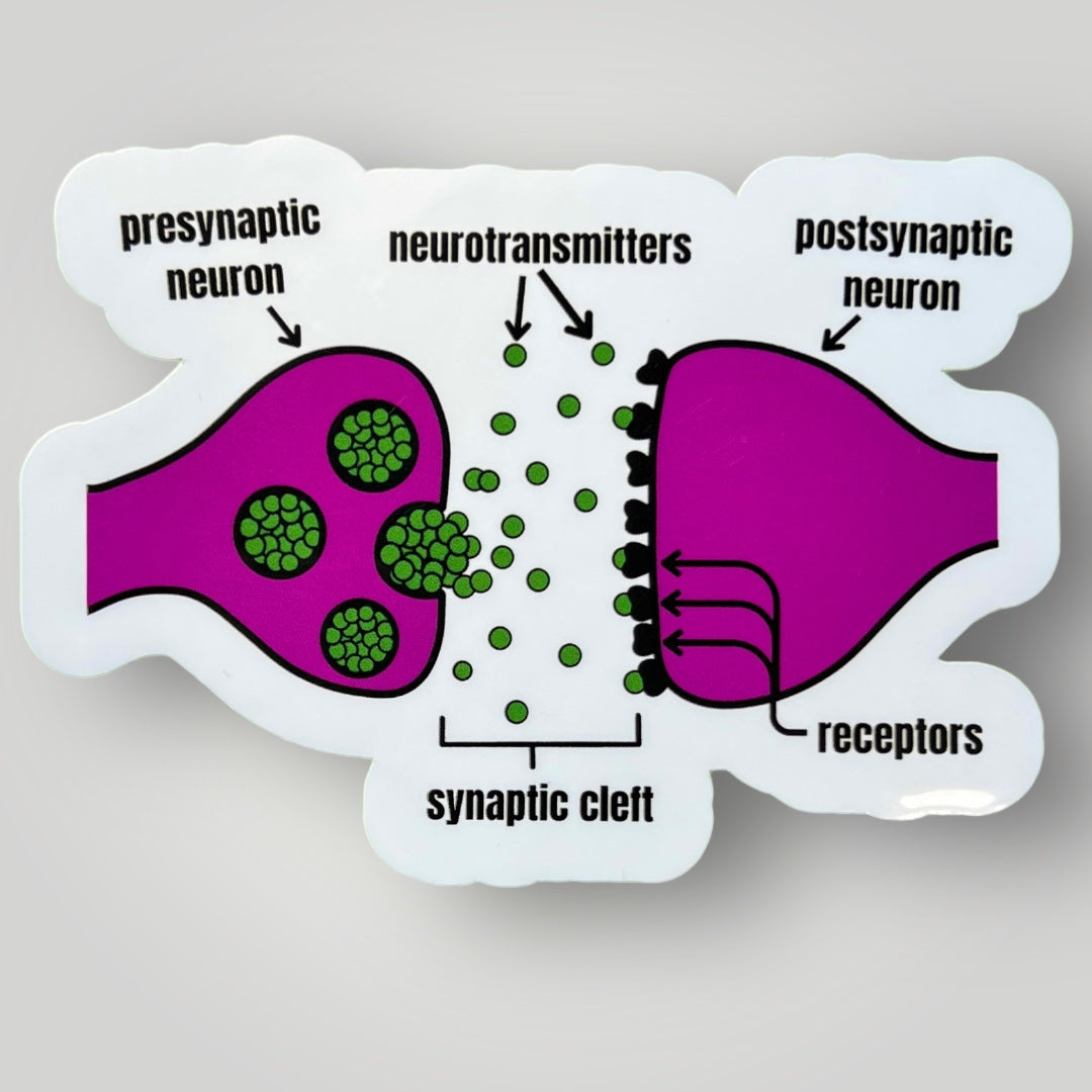 Synapse Sticker – NeuroChallenged